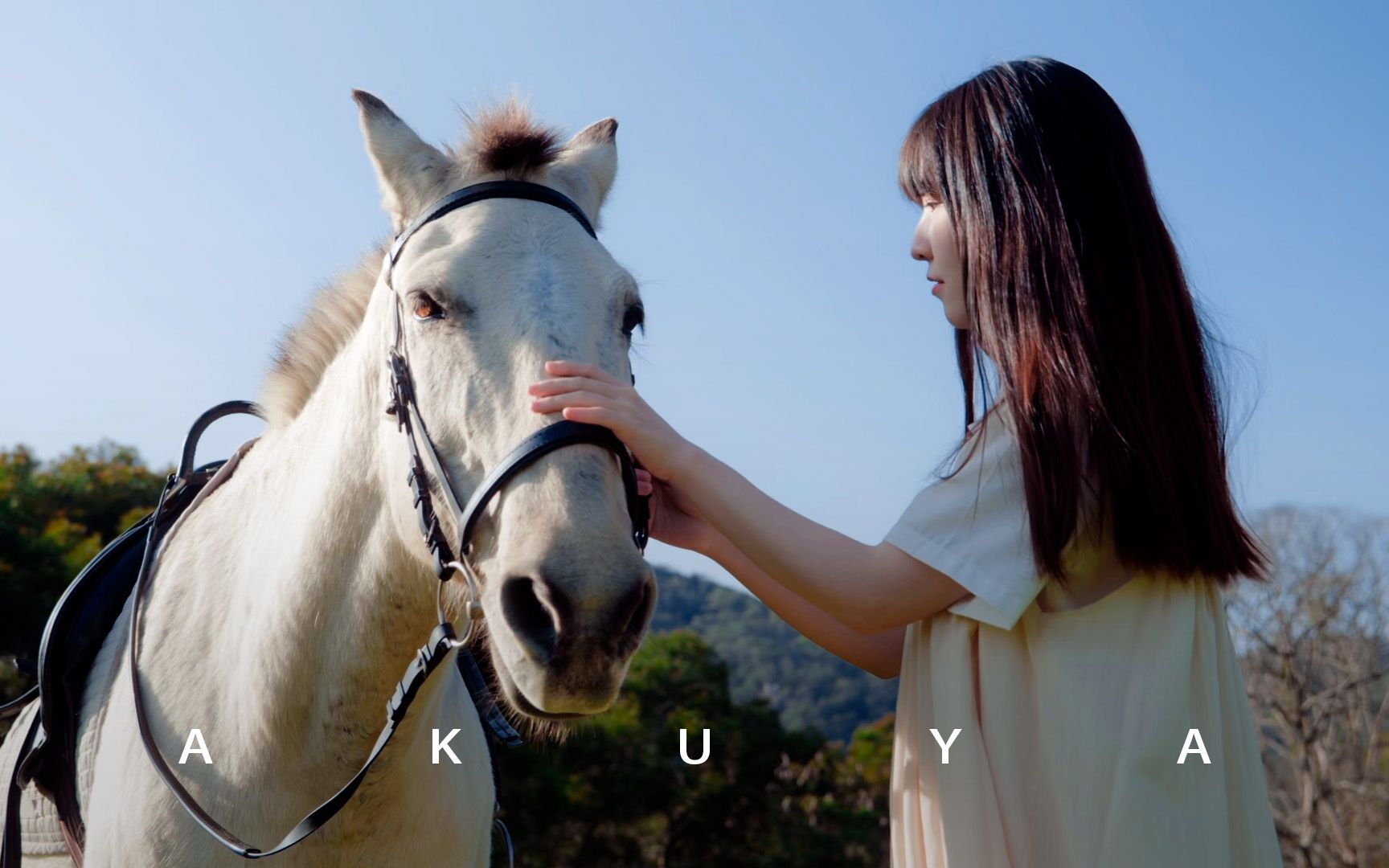 【ロクデナシ】Spica【にんじん x ナユタン星人】【Official Music Video】【中文字幕】-木燈-歌-哔哩哔哩视频