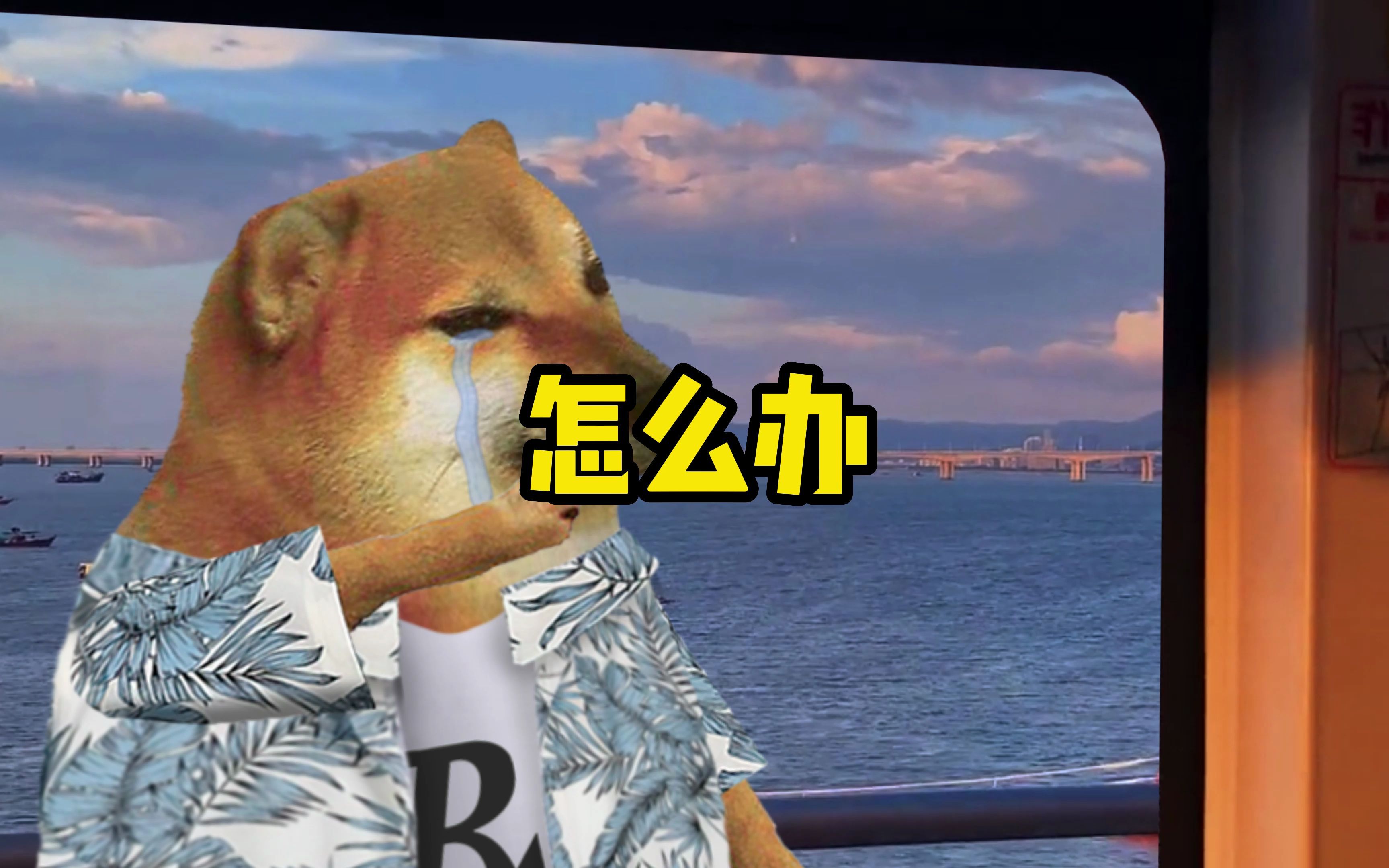 CHEEMS《怎么办》_哔哩哔哩_bilibili