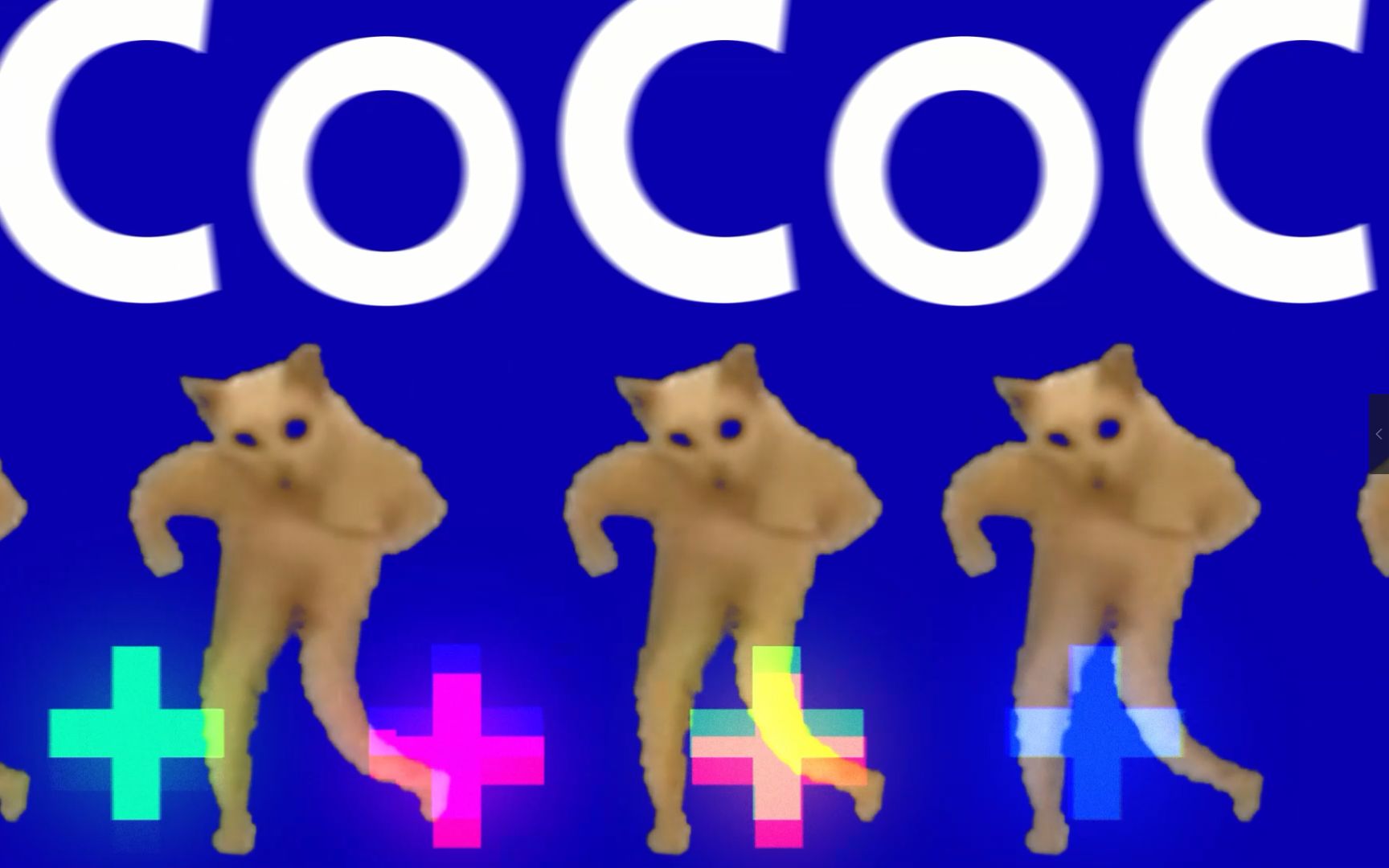 我是一个椰子不是CoCo🥥-CoCo都可官方-CoCo都可官方-哔哩哔哩视频