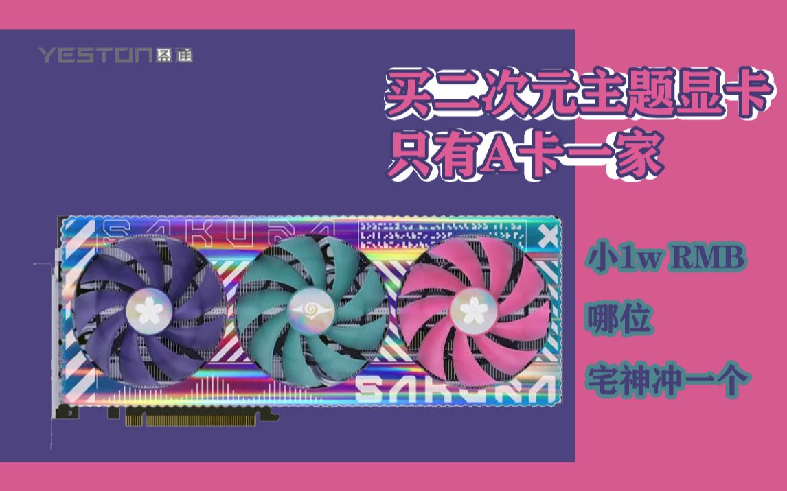 盈通（yeston）AMD RADEON RX 7900XTX-24GD6 樱瞳水着 sugar 5纳米 高端游戏显卡 221213