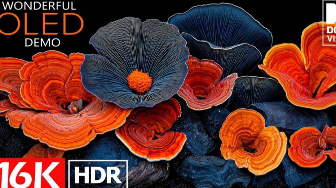 16K视频-杜比视界16K HDR 60fps（8K视频超高清） - 视频下载 Video Downloader