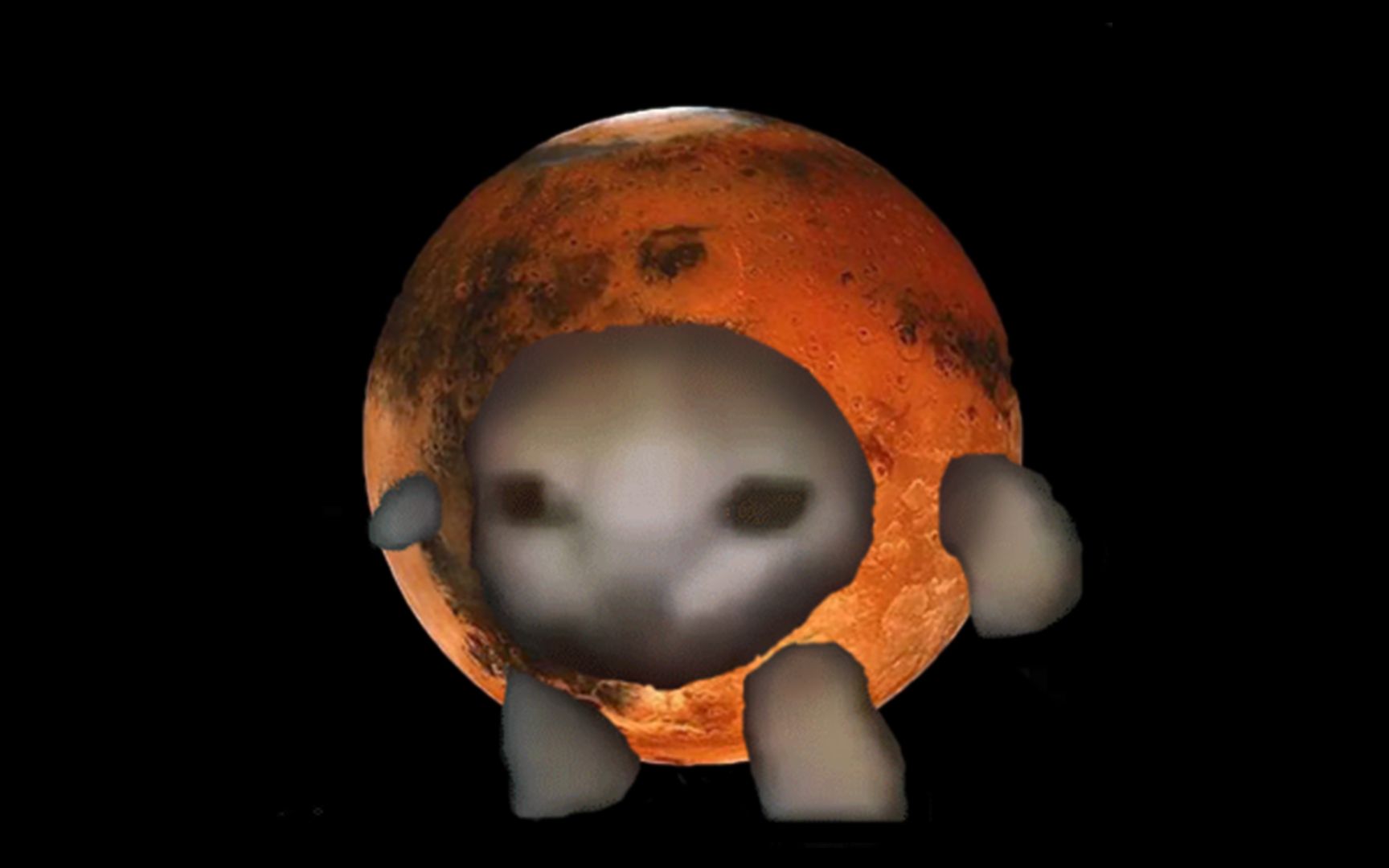 The Mars Cat_哔哩哔哩_bilibili