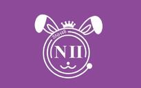 SNH48 队伍介绍——Team NII - 哔哩哔哩