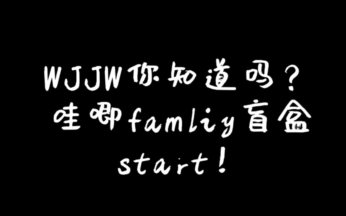 【wjjw】【挖机family盲盒】你抽到了谁？_哔哩哔哩_bilibili