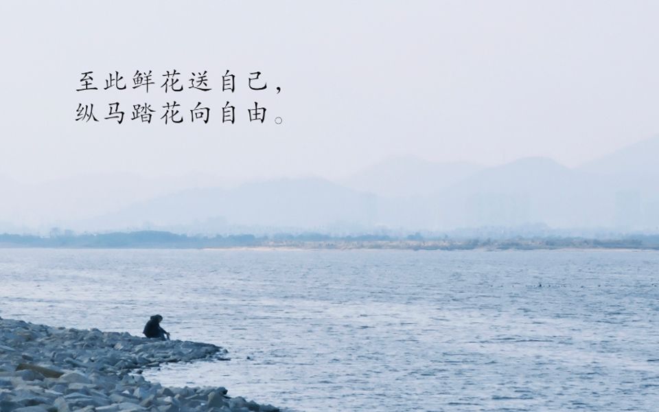 至此鲜花送自己，纵马踏花向自由-Amoy大号官方号-Amoy大号官方号-哔哩哔哩视频