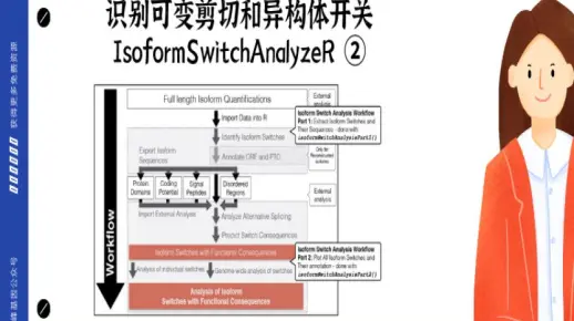 RNA 47. 基于转录组识别可变剪切和异构体开关(IsoformSwitchAnalyzeR)②_哔哩哔哩_bilibili