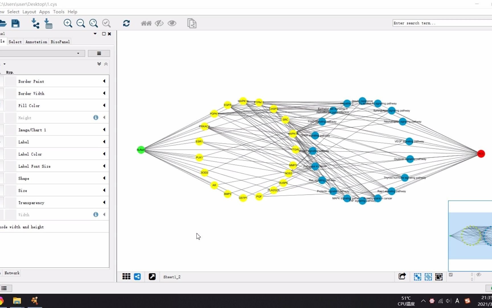 cytoscape 做成分-靶点-通路-疾病-图_哔哩哔哩_bilibili