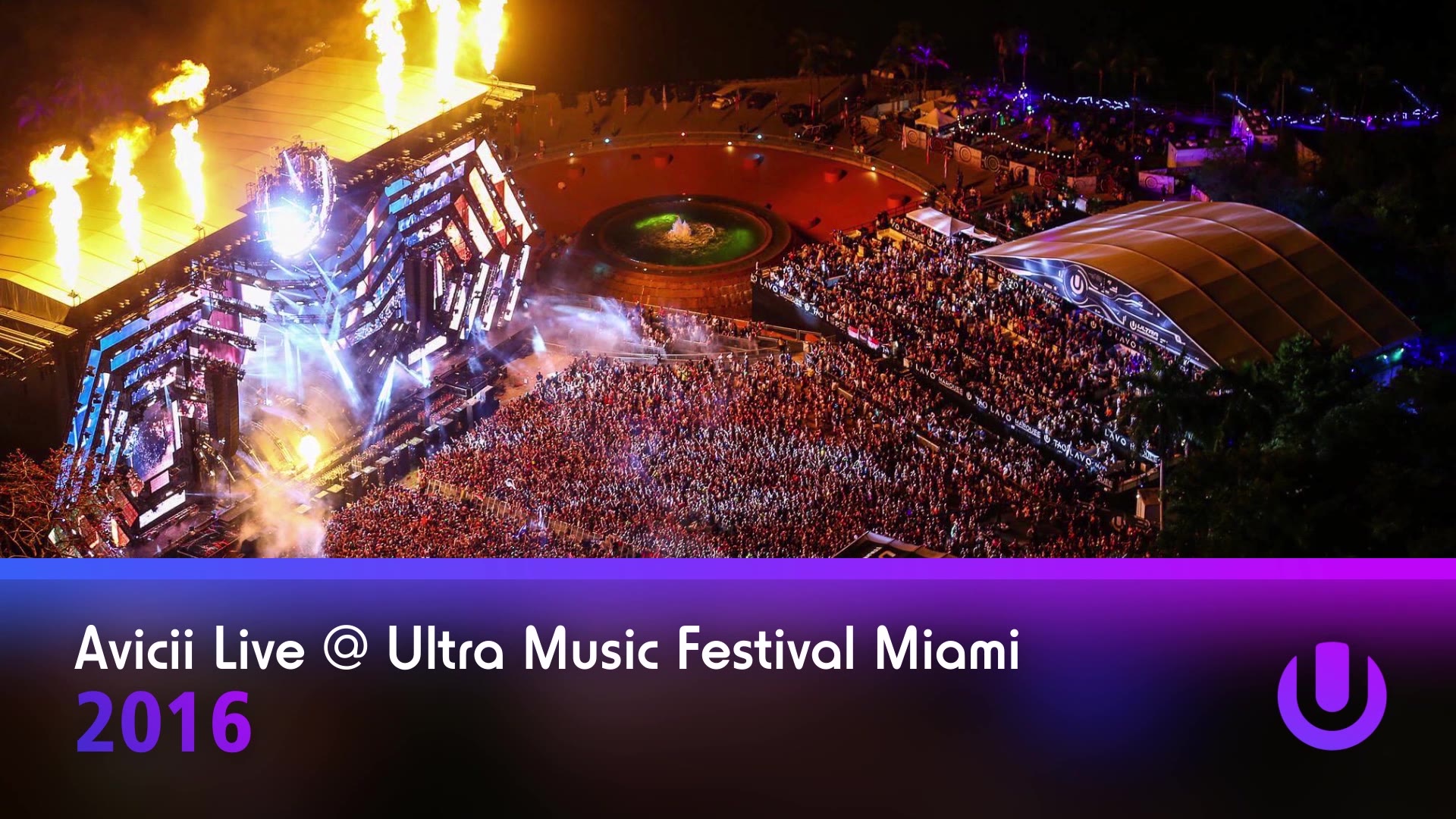 【Avicii Live】2016迈阿密Ultra电音节 一小时完整版全场音频_哔哩哔哩_bilibili