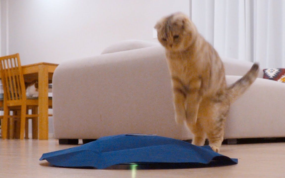 【SuriNoel】【英翻中字】猫咪与会变身的玩具_哔哩哔哩_bilibili