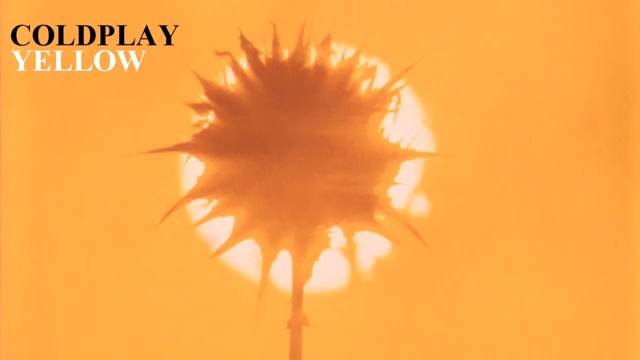 Yellow Coldplay 伴奏_哔哩哔哩_bilibili