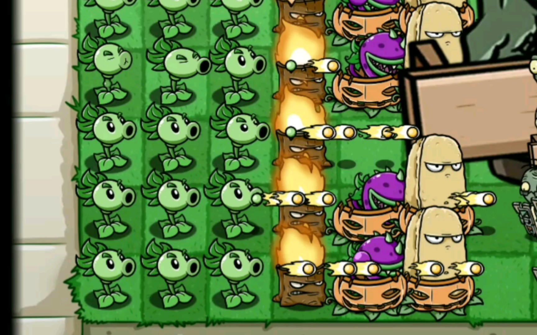 【PVZ_BT】僵王还没出前玩家们的自嗨~_哔哩哔哩_bilibili