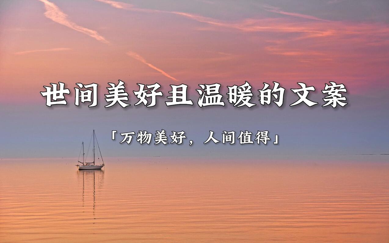 「文摘」世间美好且温暖的文案 哔哩哔哩