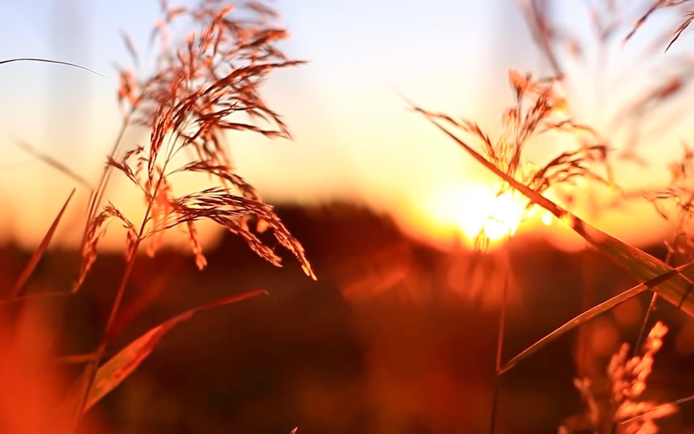 DUSTCELL - PAIN-Initiaカサ-歌-哔哩哔哩视频