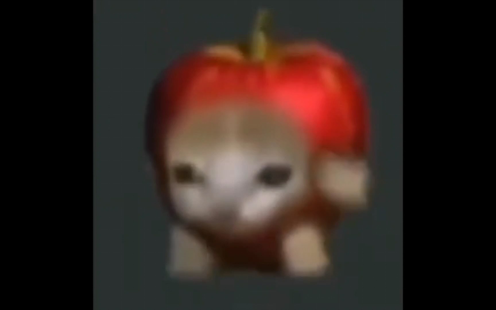The Apple Cat_哔哩哔哩_bilibili