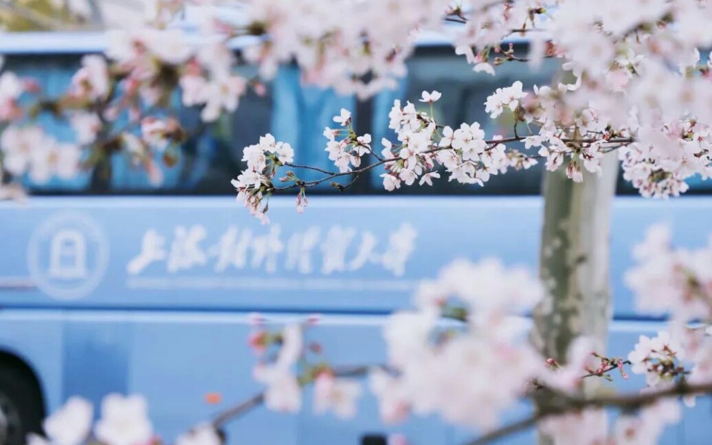 I SUIBE_哔哩哔哩_bilibili