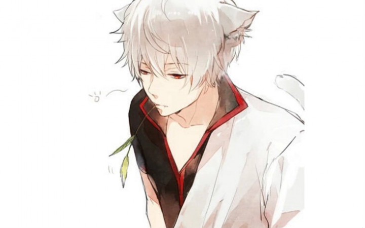 【银魂】鲜血无法染红的银 uverworld-D-Tecnolife_哔哩哔哩_bilibili