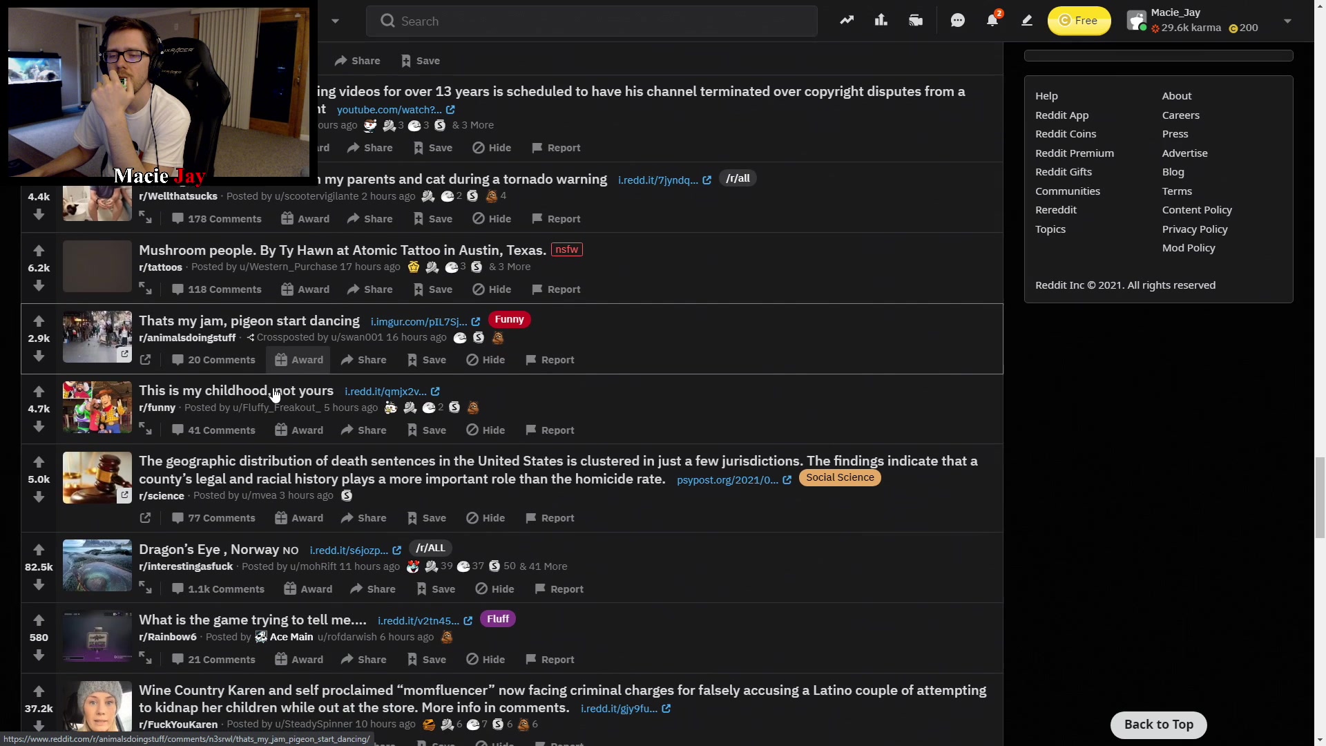 【Macie Jay】-彩虹六号2021.5.4直播录像_哔哩哔哩_bilibili