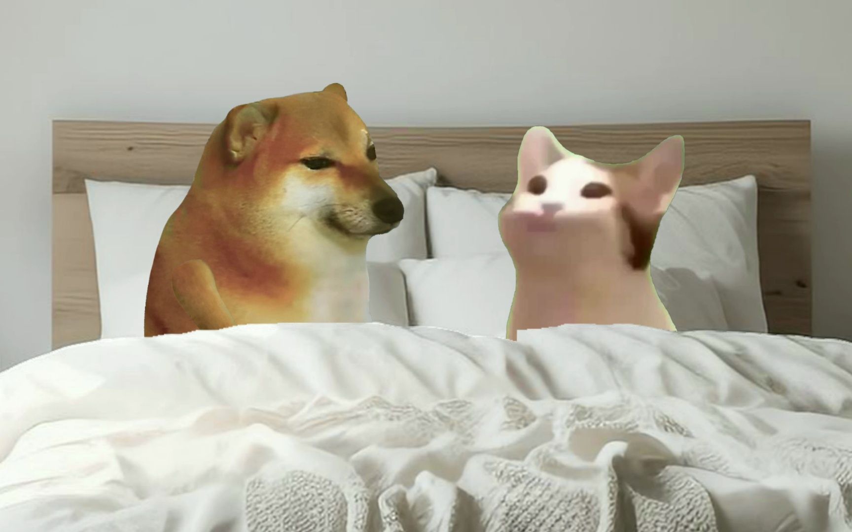 你给你爸买东西，他会不开心的-cheems小电影-cheems小电影-哔哩哔哩视频