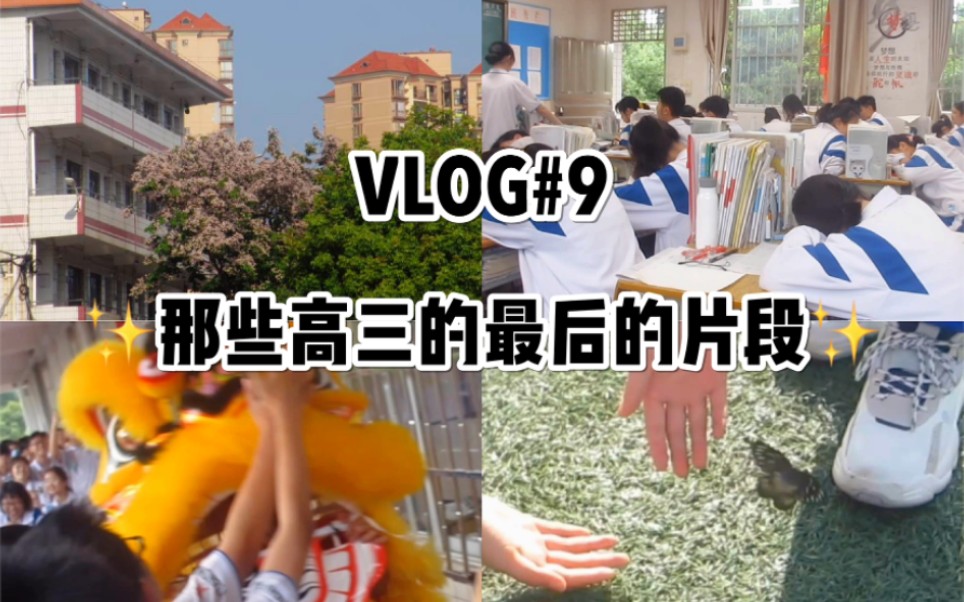 FO#VLOG-9 那是一段义无反顾的日子┊这也是我高三一年的记忆┊毕业VLOG┊我的备考记忆┊夏日片段--敲敲洑之---敲敲洑之--哔哩哔哩视频