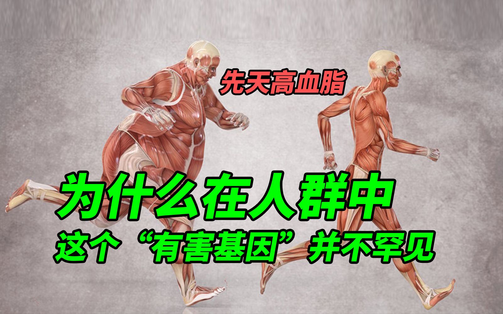 人类为什么携带这个“有害”基因？曾经的buff今天的bug 如何避免发展成心血管疾病?-林林Eileen-林林Eileen-哔哩哔哩视频