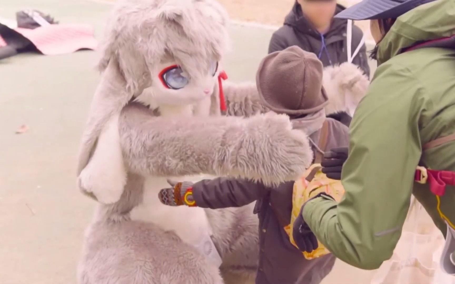 (Furry)INA超萌兔兔 @4bfox_哔哩哔哩_bilibili