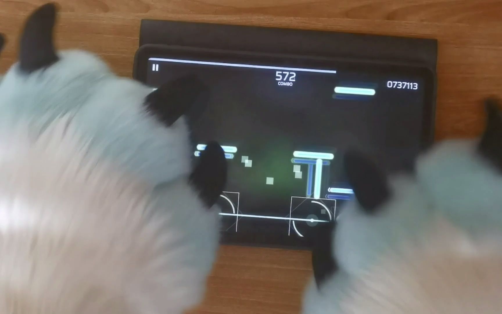 【Phigros】兽爪打歌 Chronologika ap爪元_哔哩哔哩_bilibili