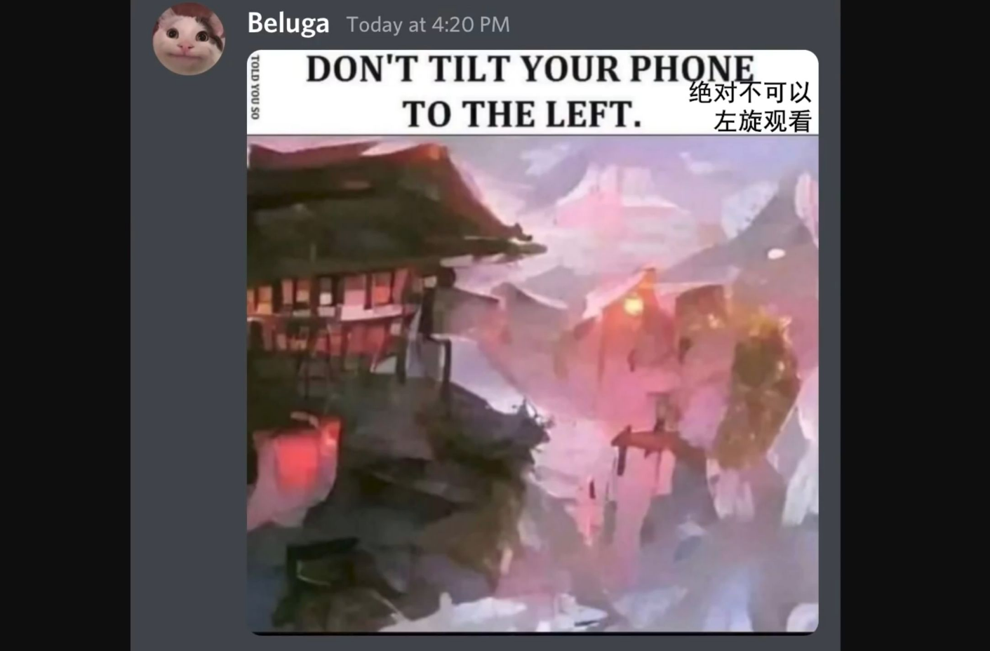 [Beluga和他的小伙伴]如果生命只剩一分钟 这只猫猫会做什么呢？-Beluga官方字幕组-Beluga官方字幕组-哔哩哔哩视频