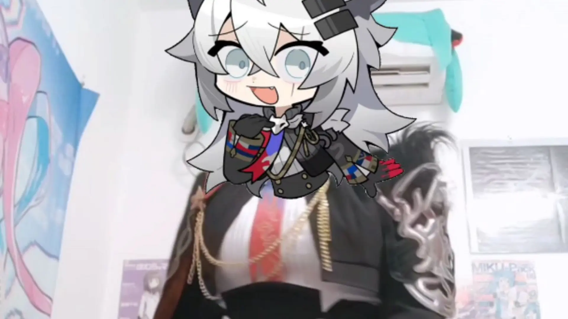 扎罗视角的试衣还是太权威了_哔哩哔哩_bilibili