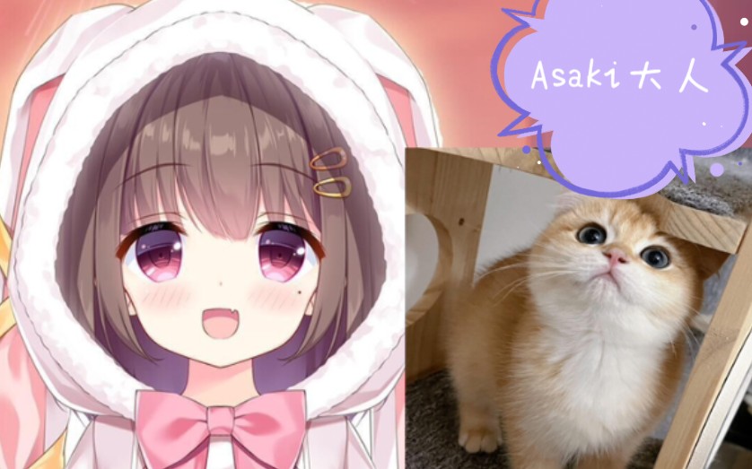 [Asaki大人]A哥家的猫(^･ｪ･^)（震惊，某猪直播间疯狂吸猫（doge））_哔哩哔哩_bilibili