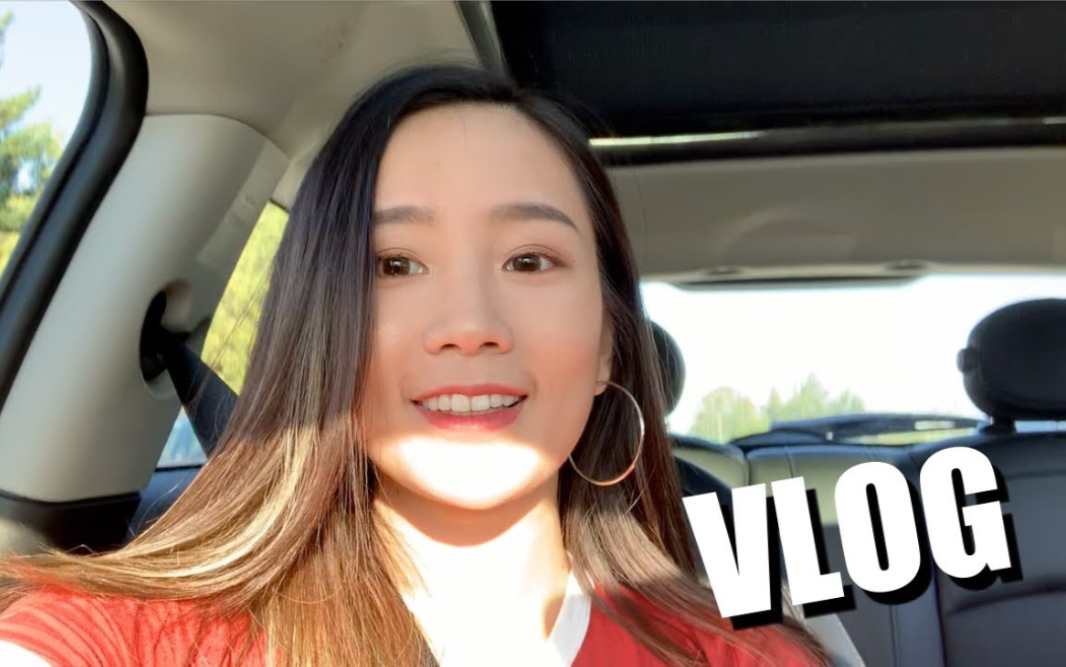 TheKellyYang | 简单周末 Weekend Vlog: 演唱会 鲔鱼泡菜炒饭 超好吃抱蛋煎饺_哔哩哔哩_bilibili