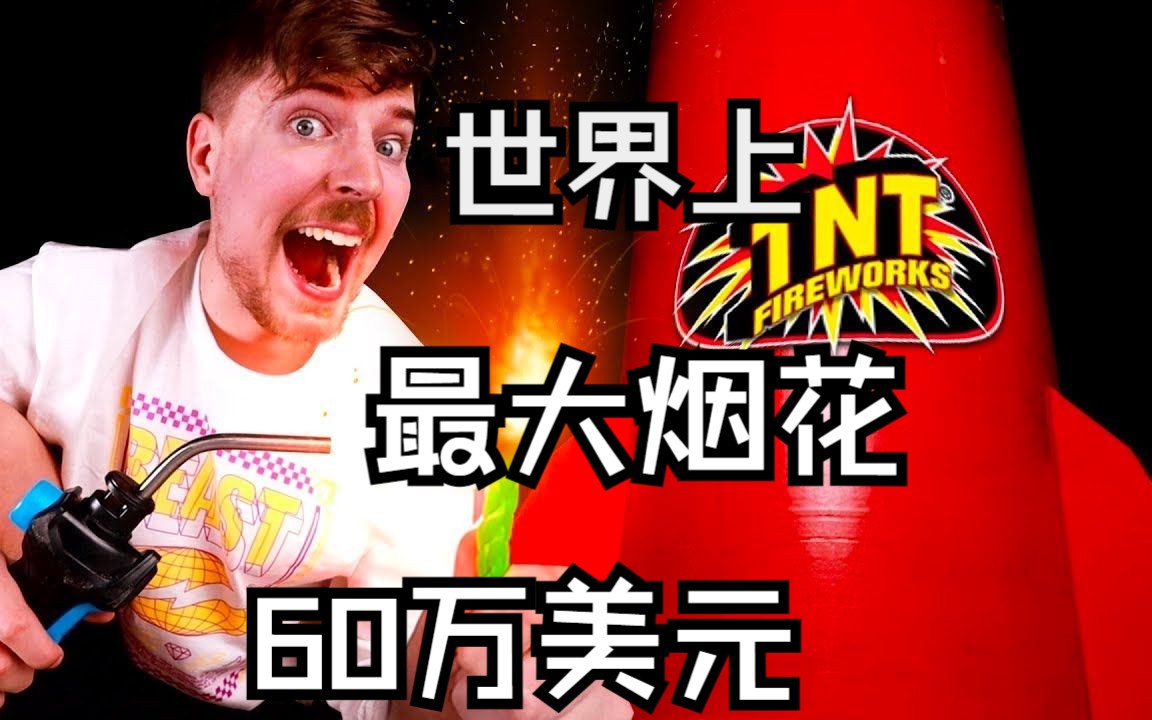 【YouTube中文字幕】我买了世界上最大的烟花（60万美元）！-YouTube中文首发-YouTube中文首发-哔哩哔哩视频