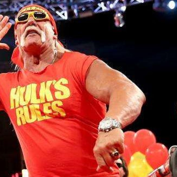 Wwe 2k15 浩克•霍根