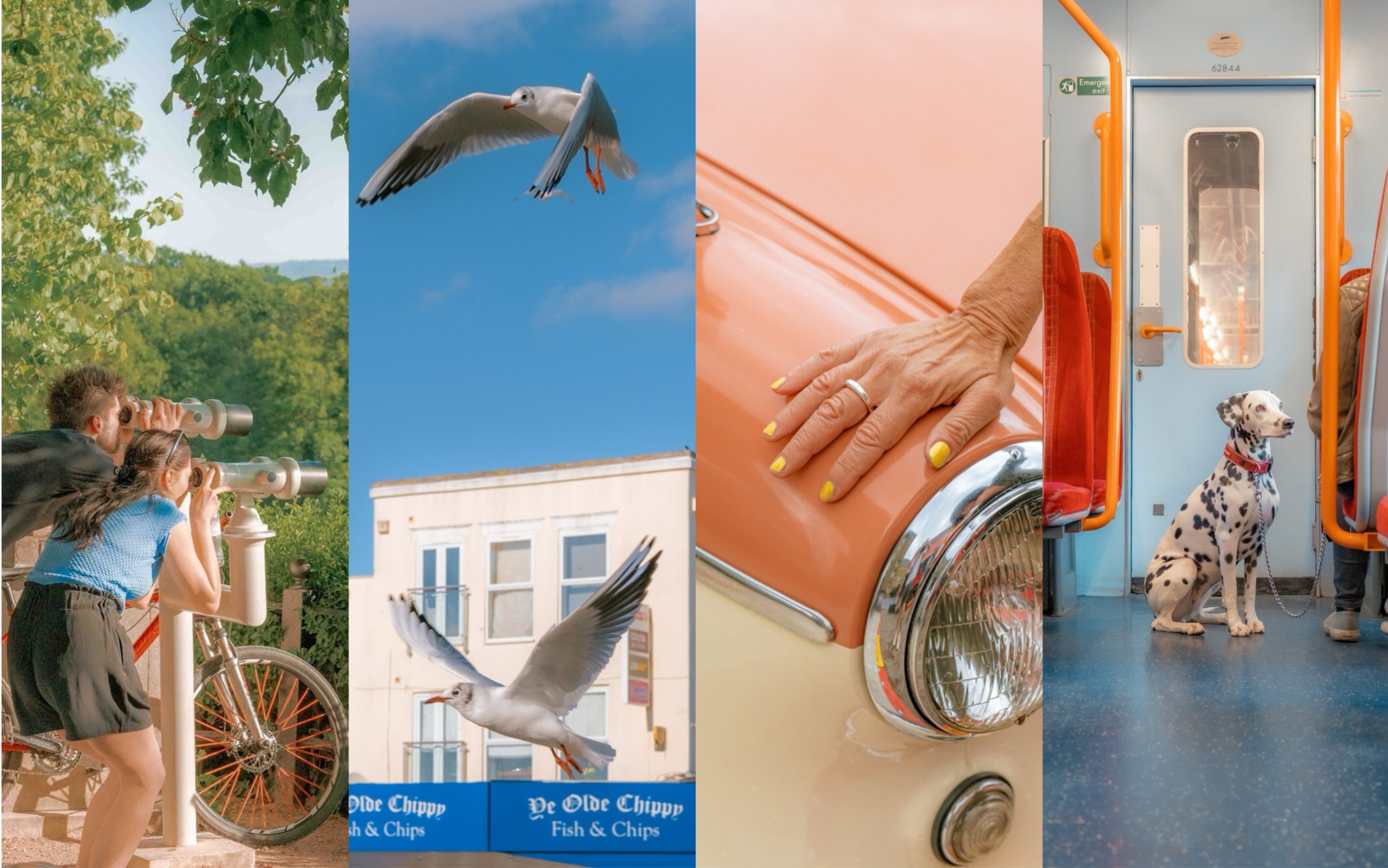 审美提升｜极致的街头色彩｜Josh Edgoose_哔哩哔哩_bilibili