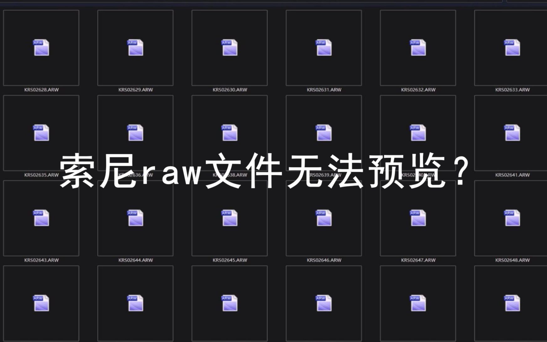 关于索尼raw文件预览缩略图的一切--夕烧--computer-哔哩哔哩视频