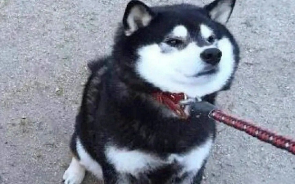 Xue Xi_哔哩哔哩_bilibili