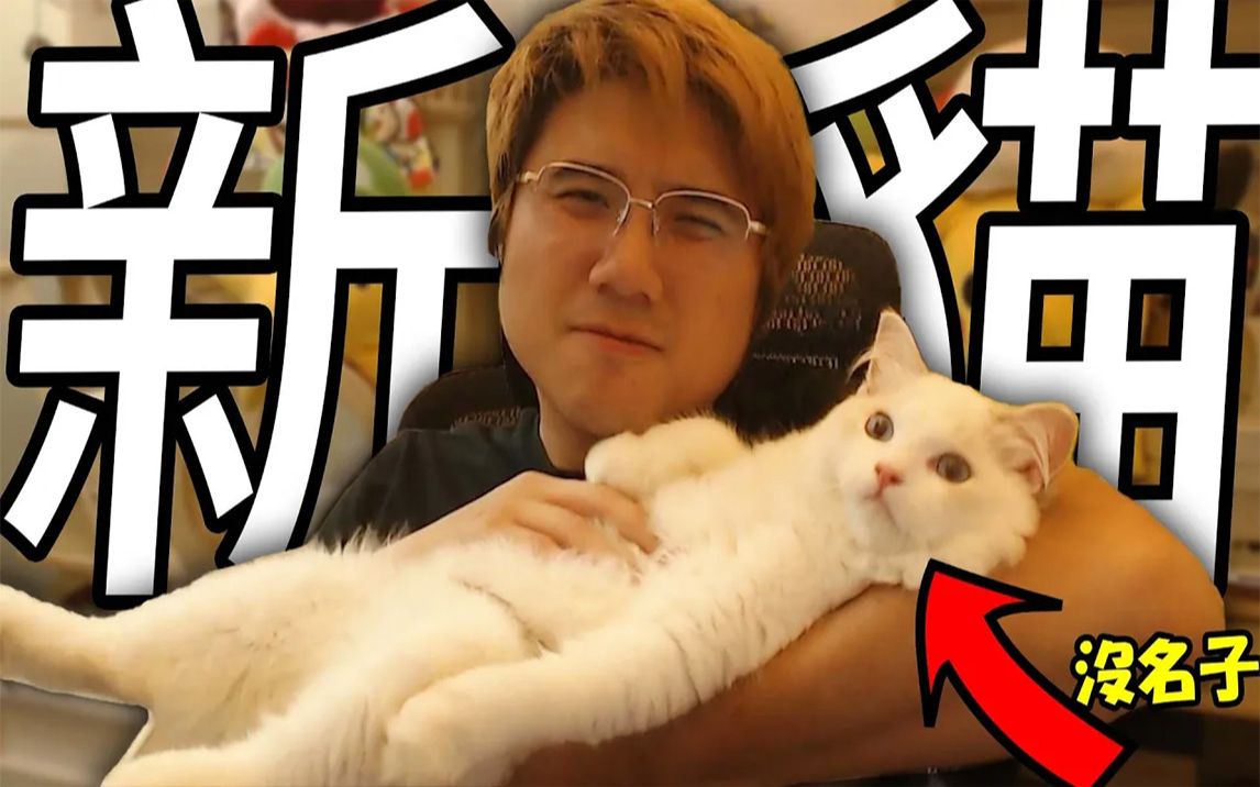 我被迫养了一隻没有名子的猫-游戏皮卡噜_PikaLu-游戏皮卡噜_PikaLu-哔哩哔哩视频