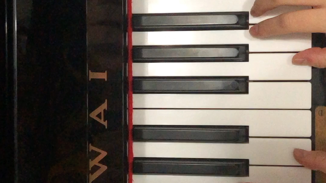 sufjan SHKB-团2021summer-团2021summer-哔哩哔哩视频