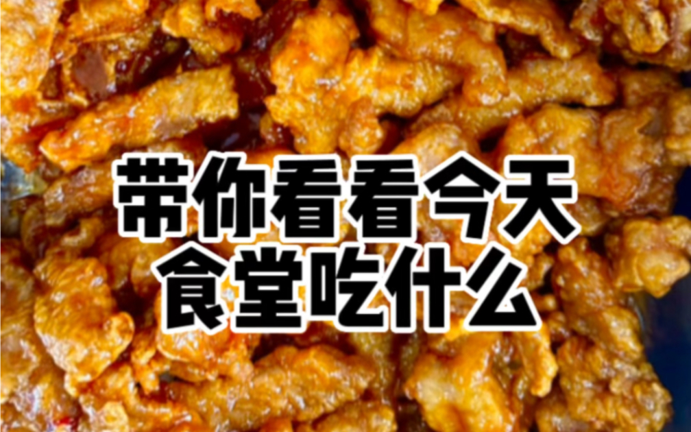 比较满意-小蘑菇美食-小蘑菇美食-哔哩哔哩视频