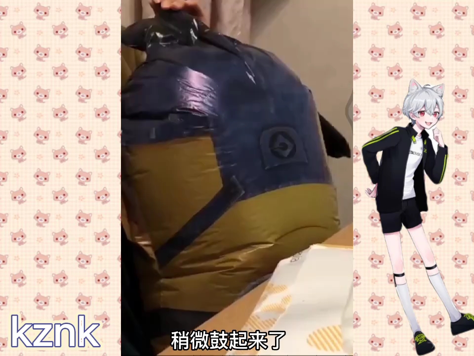 【Zeta/kznk/dolisu】打赢sz后被吓到哭了的猫（官方更新了语音我发个结束后猫的贴贴画面）