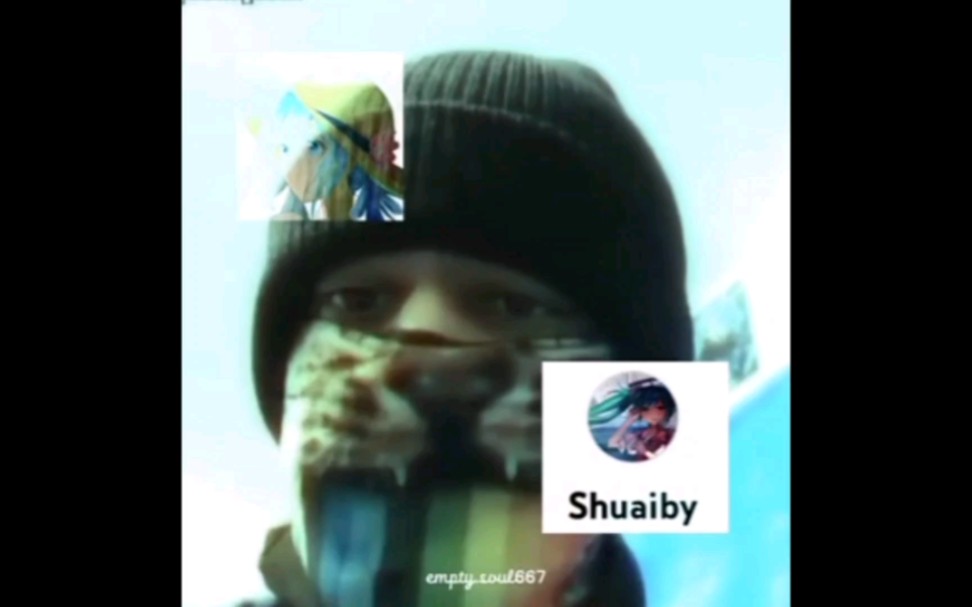 Shuaiby.edit - 视频下载 Video Downloader