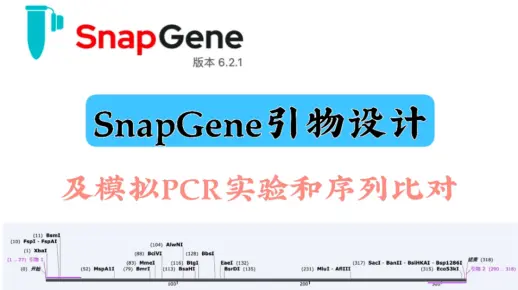 如何用SnapGene设计引物、模拟PCR实验及序列比对_哔哩哔哩_bilibili