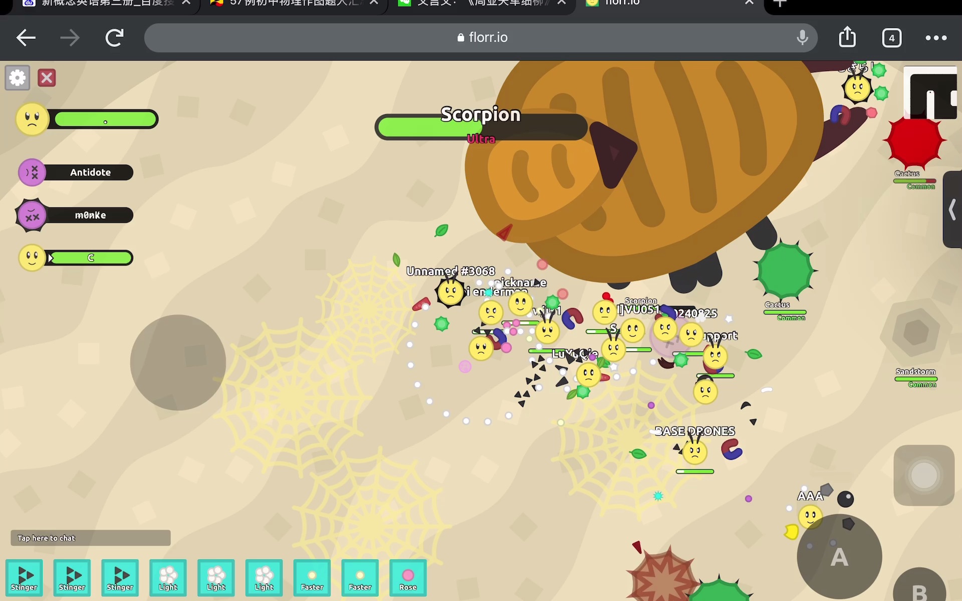 【florrio】回游遇到termite overmind