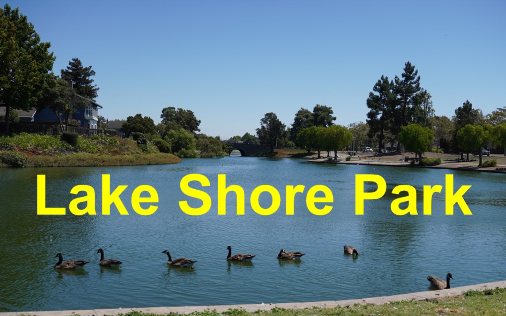 Lake Shore Park-茜茜健舞-茜茜健舞-哔哩哔哩视频