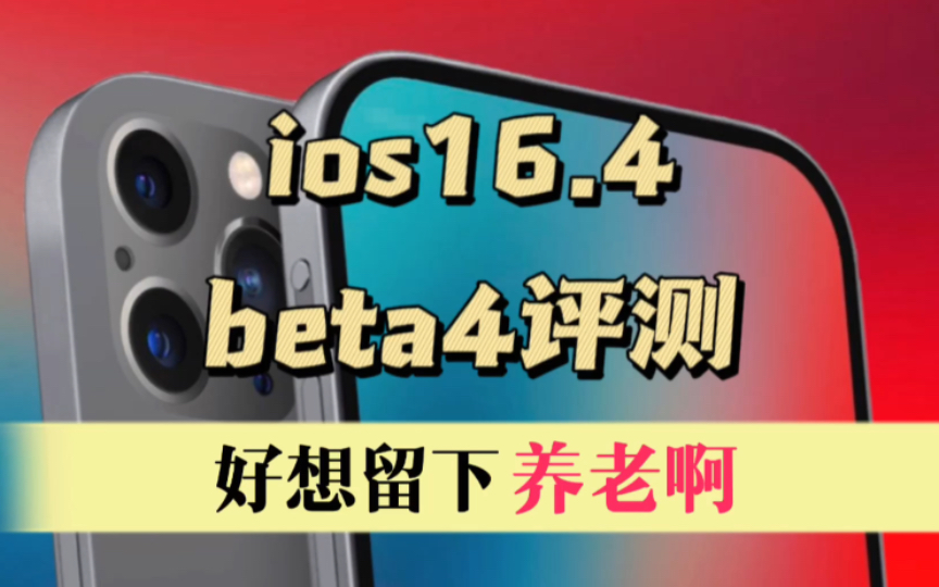 ios16.4beta4评测，好想留下来养老 - 视频下载 Video Downloader
