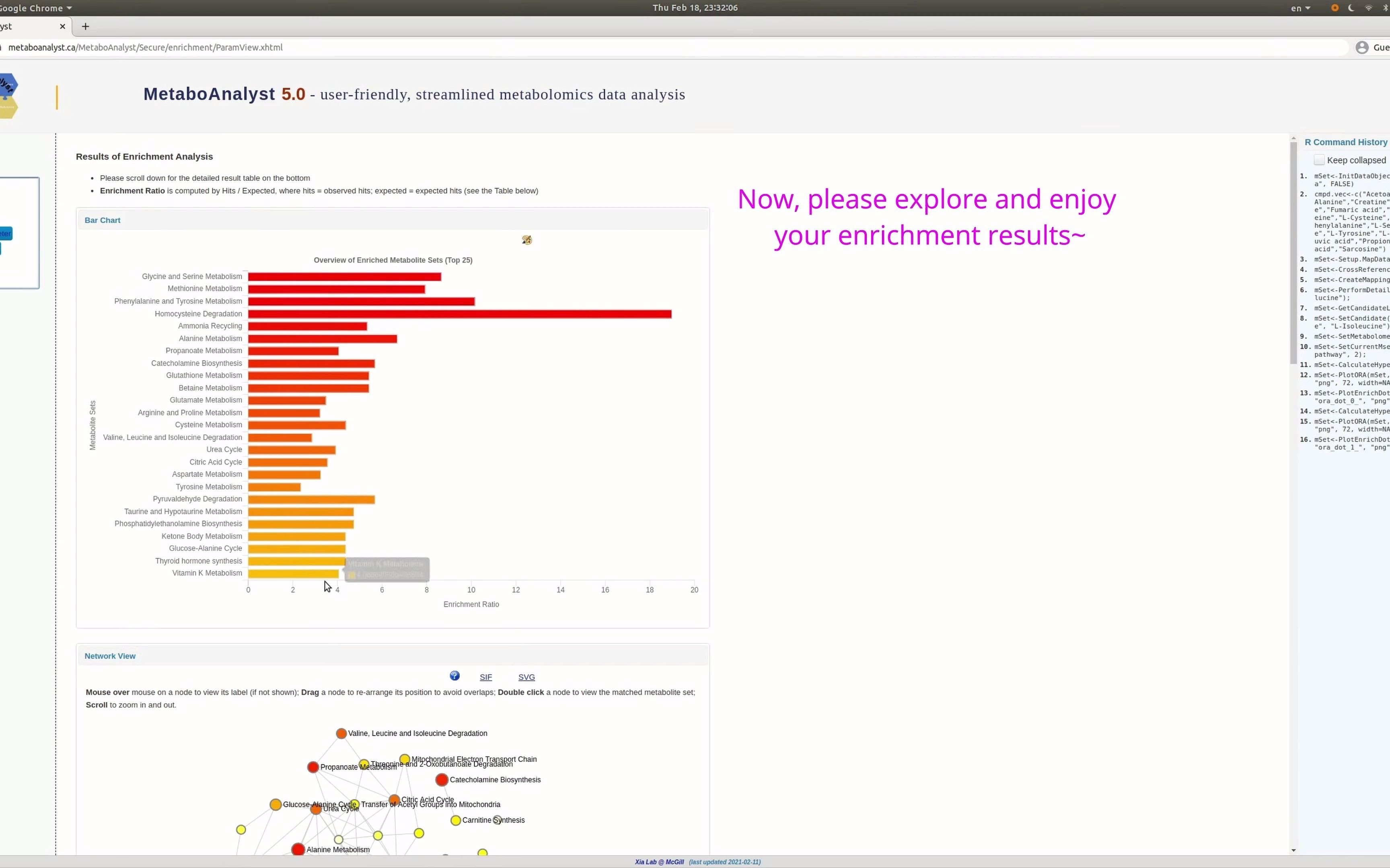 MetaboAnalyst 5.0 - Enrichment Analysis_哔哩哔哩_bilibili