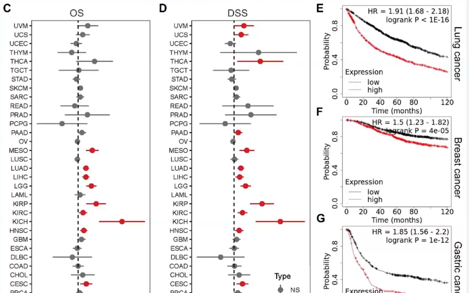 easyTCGA：1行代码整理TCGA的6种表达矩阵和临床信息