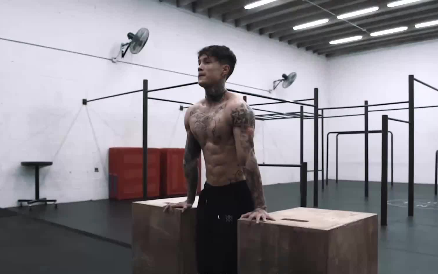 【Thenx】为什么你没有腹肌_哔哩哔哩_bilibili