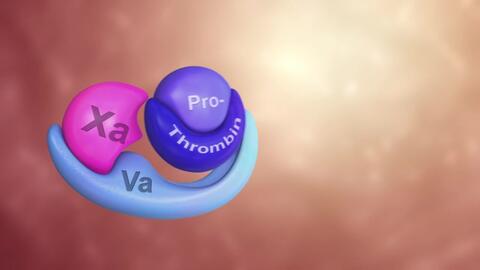 Coagulation Cascade Animation