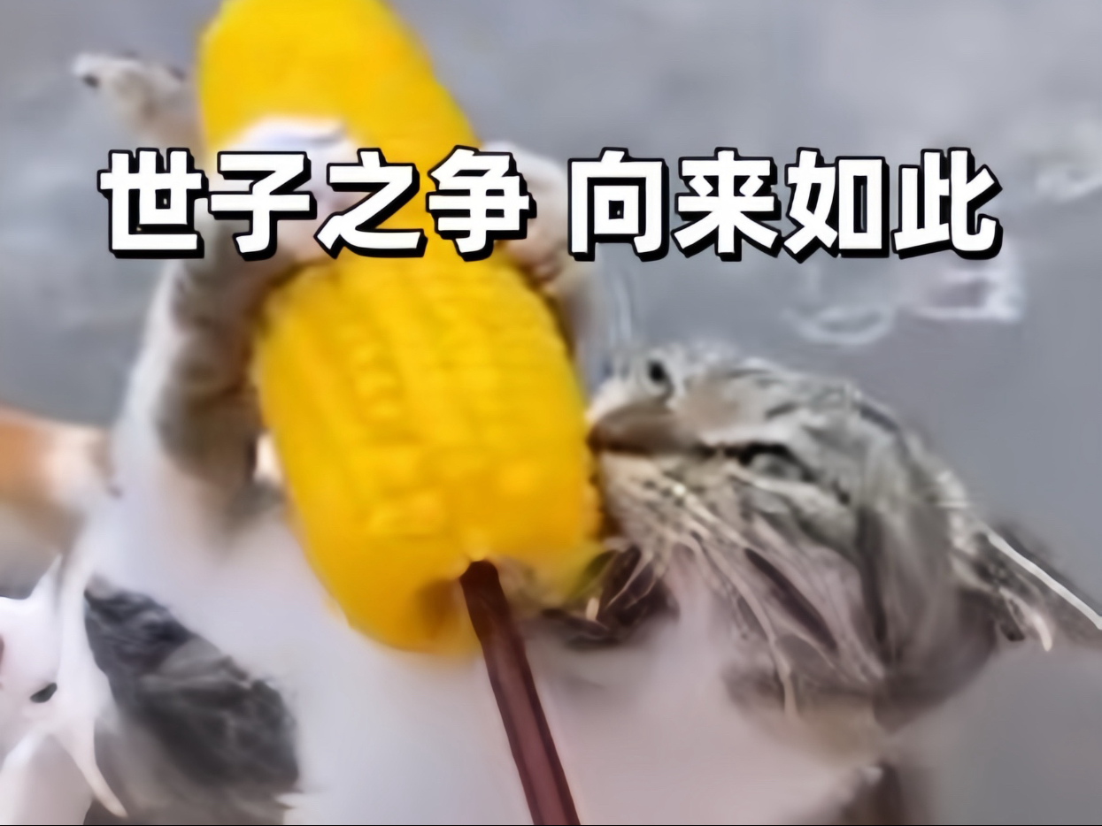 只 要 是 德 语 就 画 风 突 变-Pheebo菲宝-Pheebo菲宝-哔哩哔哩视频