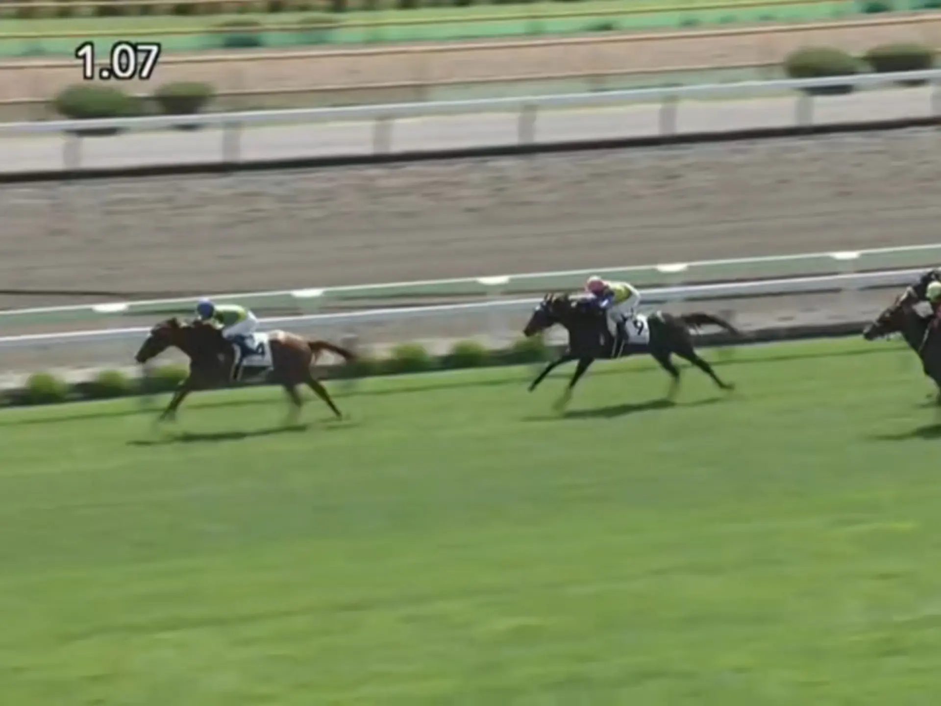 【颂赞火星产驹】武丰骑手搭档Baby's Breath获胜 250705 函馆8R_哔哩哔哩_bilibili